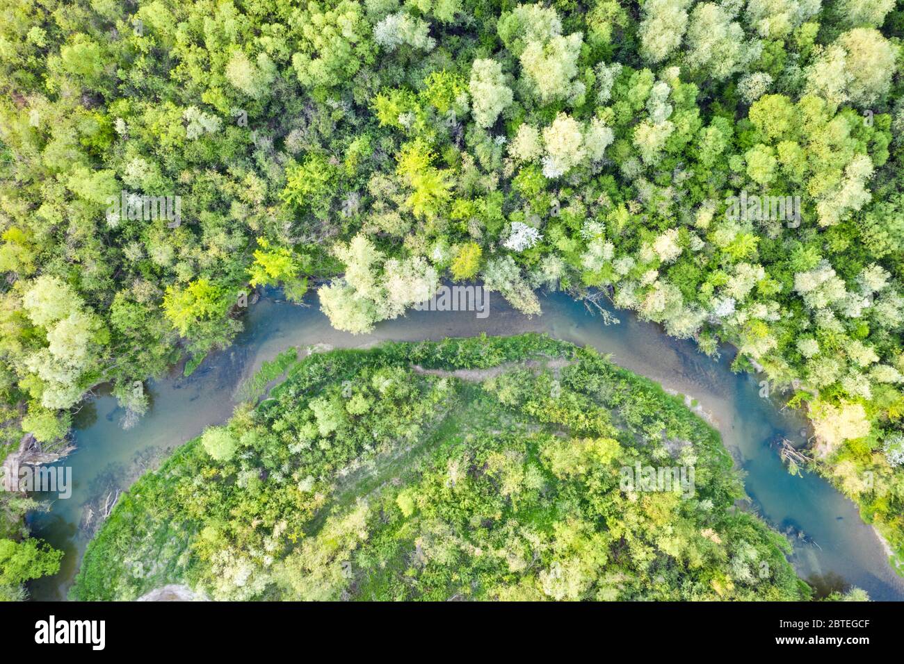 Lush green forest hi-res stock photography and images - Alamy