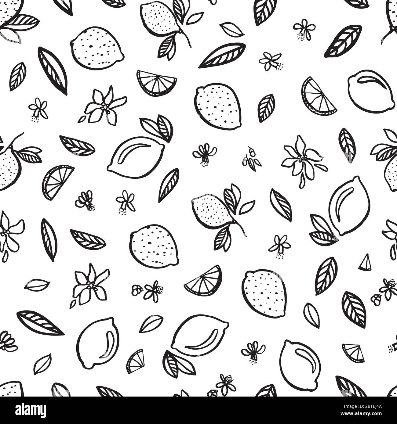 Vector doodle lemon citrus pattern. Hand drawn modern summer repeating design. Hand drawn bright ...