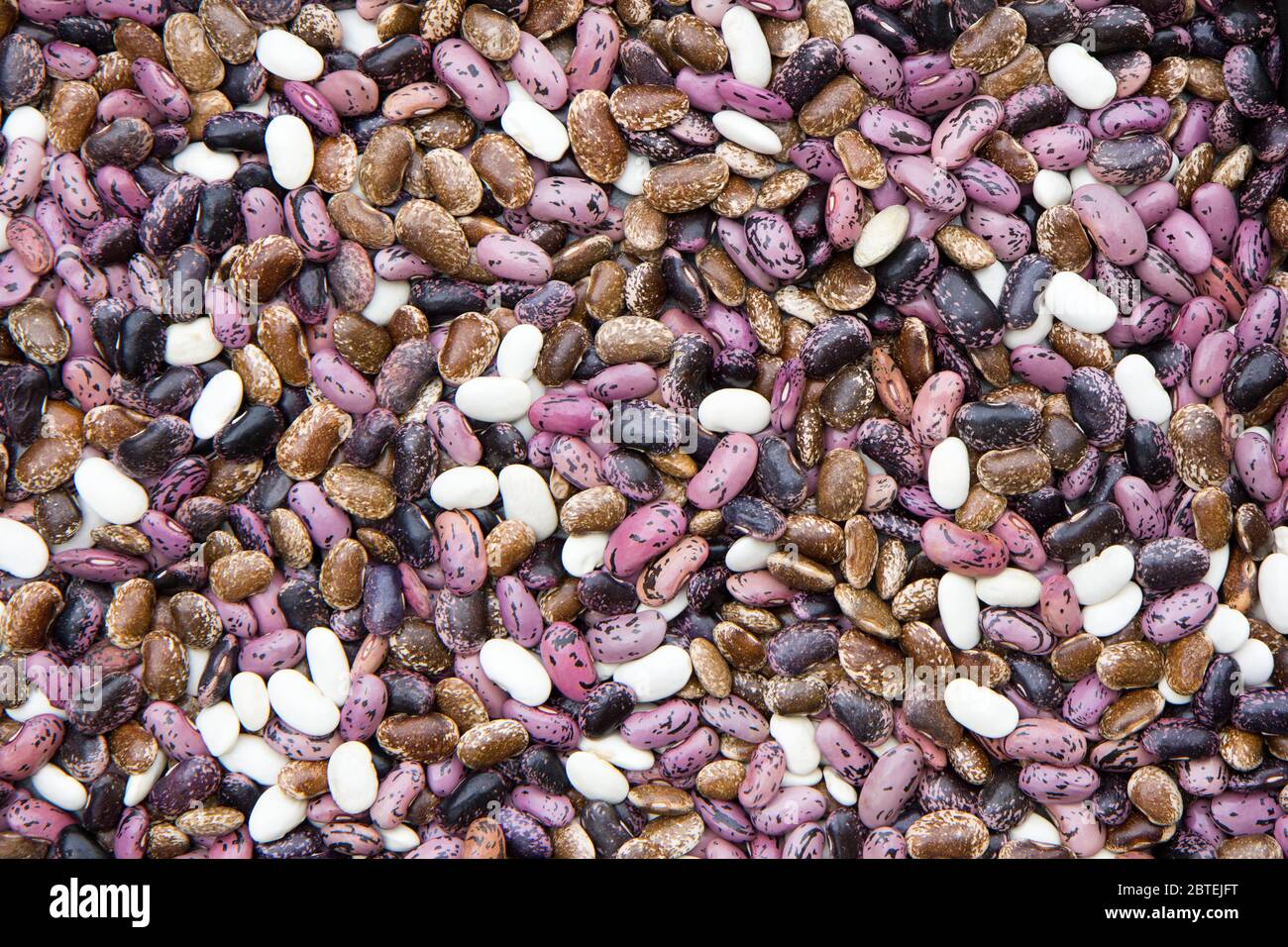 Grain beans hi-res stock photography and images - Alamy