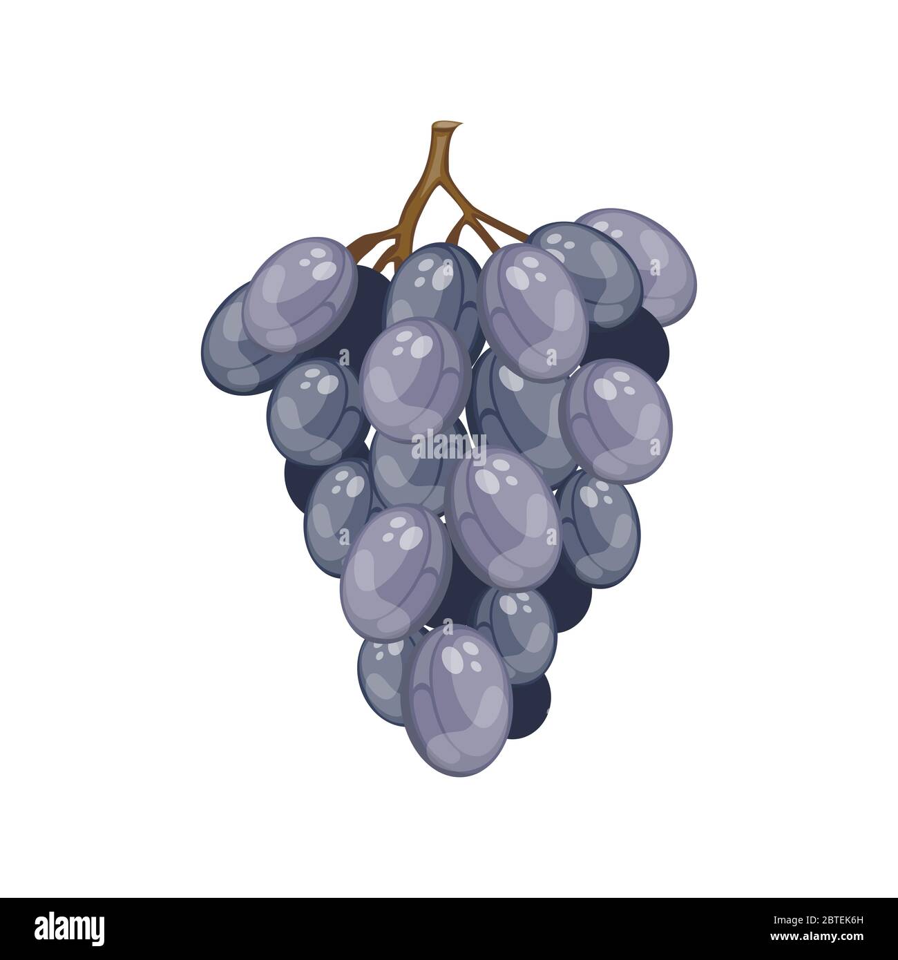 Cartoon ripe blue grapes branch Stock Vector Image & Art - Alamy