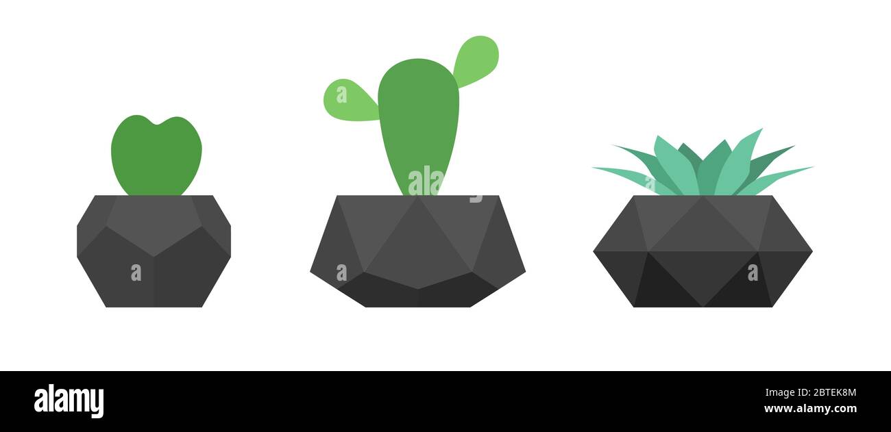 Vector home plants cactus Stock Vector Images - Alamy