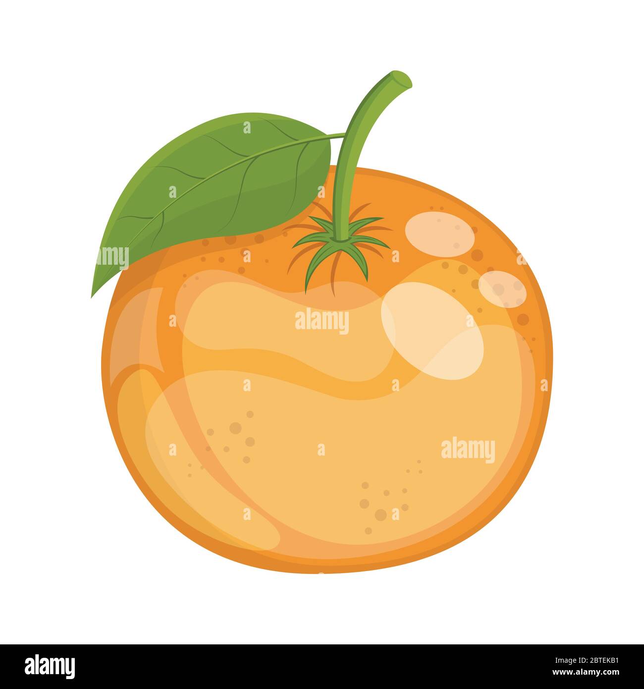 Cartoon ripe orange citrus fruit, vector illustration Stock Vector ...