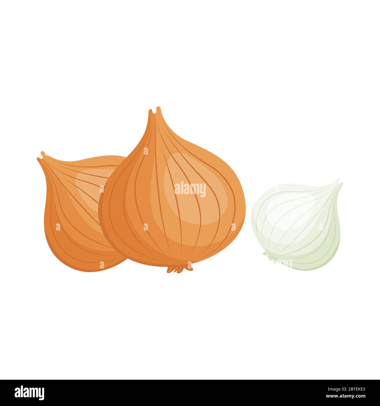 Whole cut ripe onions Stock Vector Images - Alamy