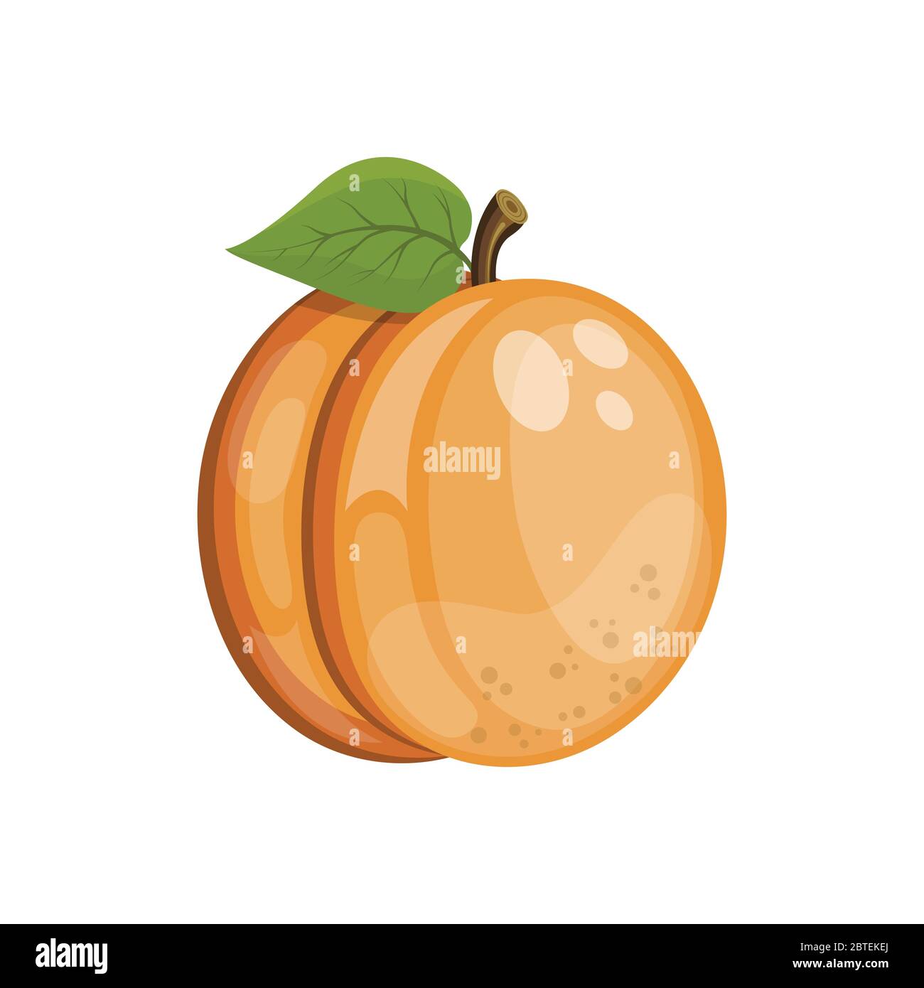 Apricots ripe tasty apricot Stock Vector Images - Alamy