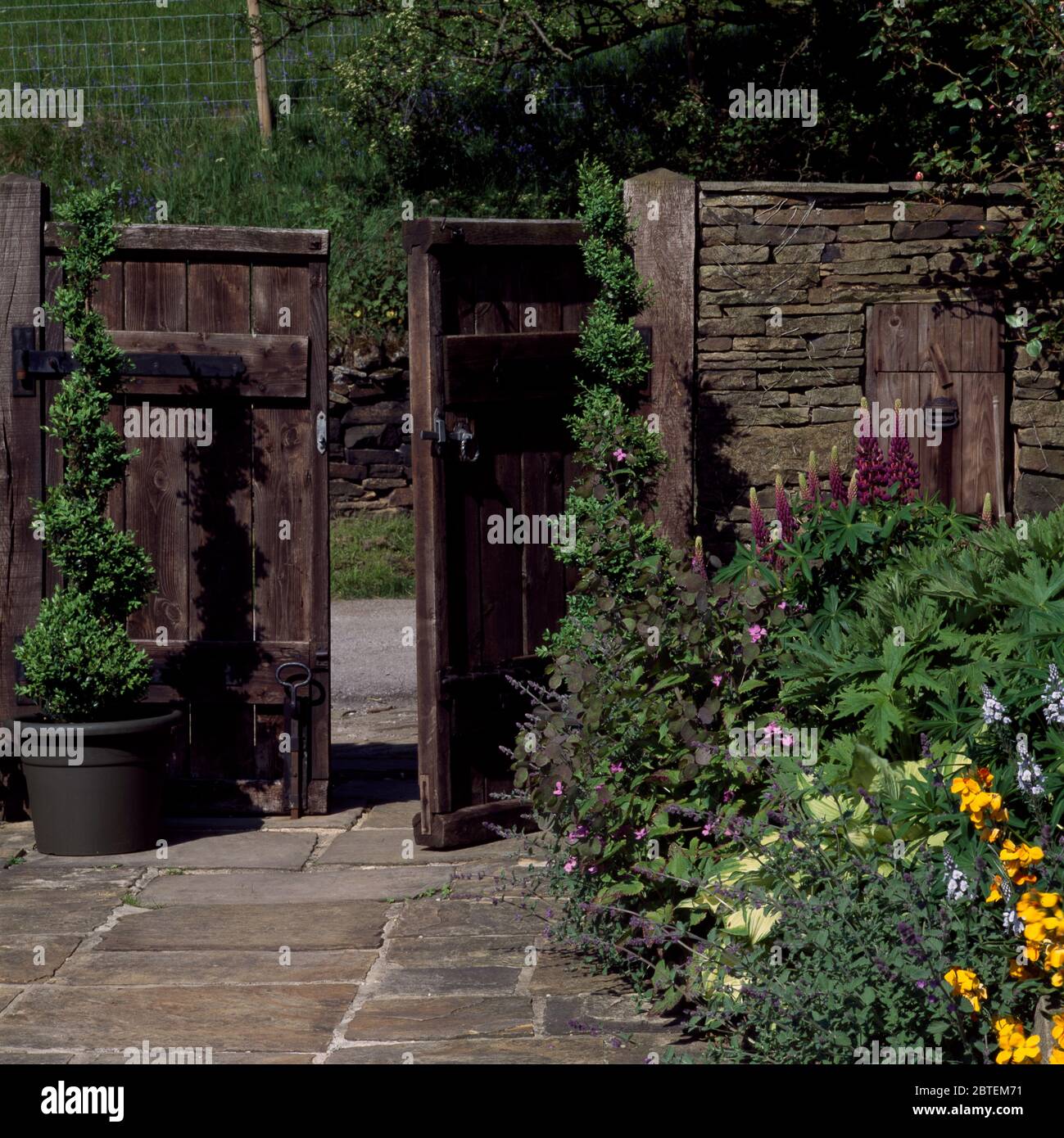 Wooden garden gates open to paved area with colourful border Stock ...