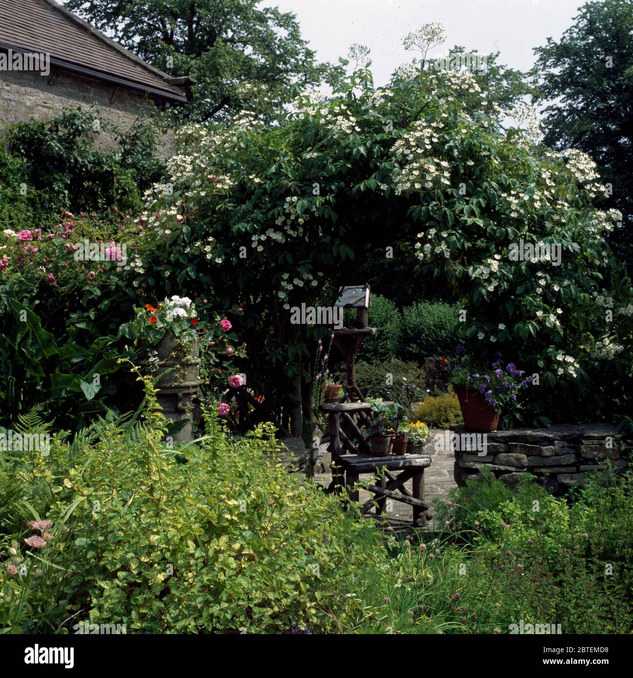 Chimney pot terrace hi-res stock photography and images - Alamy