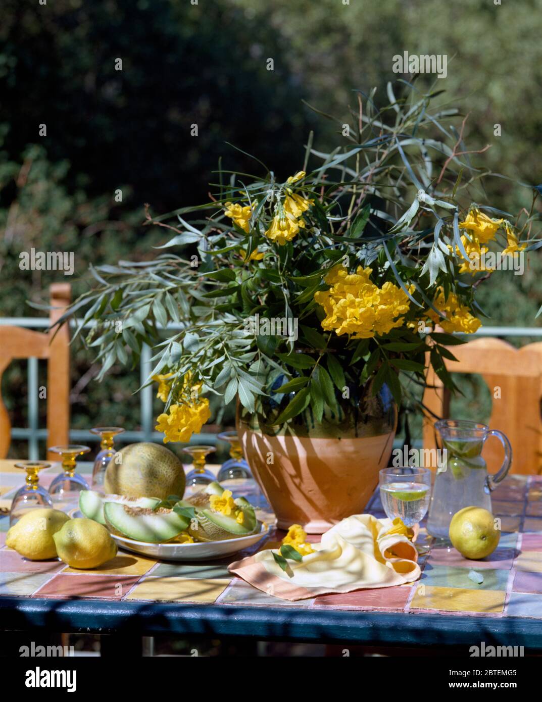 Lunch foliage hi-res stock photography and images - Alamy