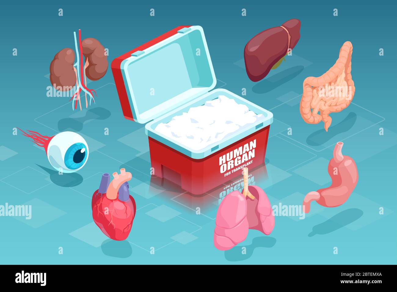Human organ transport box Stock Vector Images - Alamy