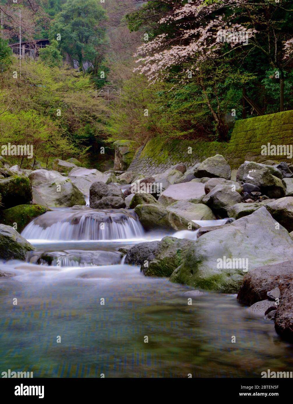 Sukumo River flowing over a weir and boulders as it flows down Mt ...