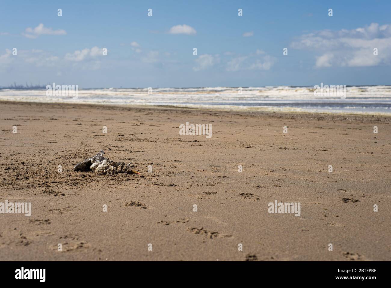 Dead bird plastic hi-res stock photography and images - Alamy