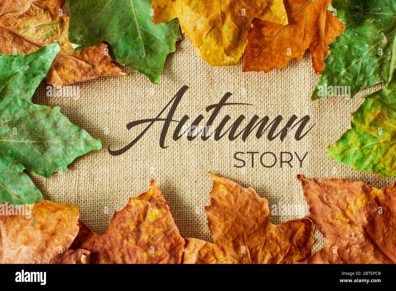Autumn leaves over linen texture background Autumn story concept Stock ...