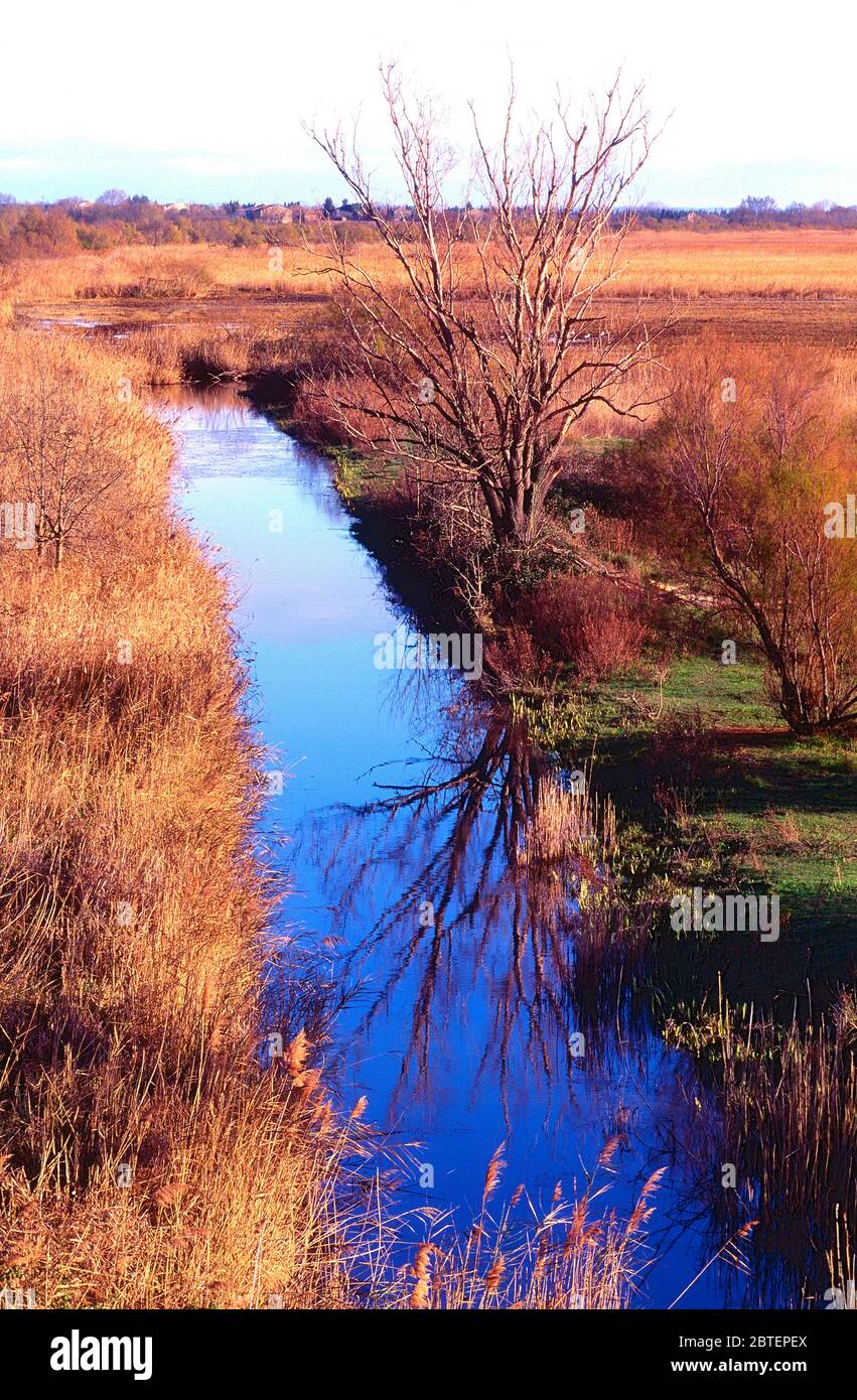Marsh land hi-res stock photography and images - Alamy