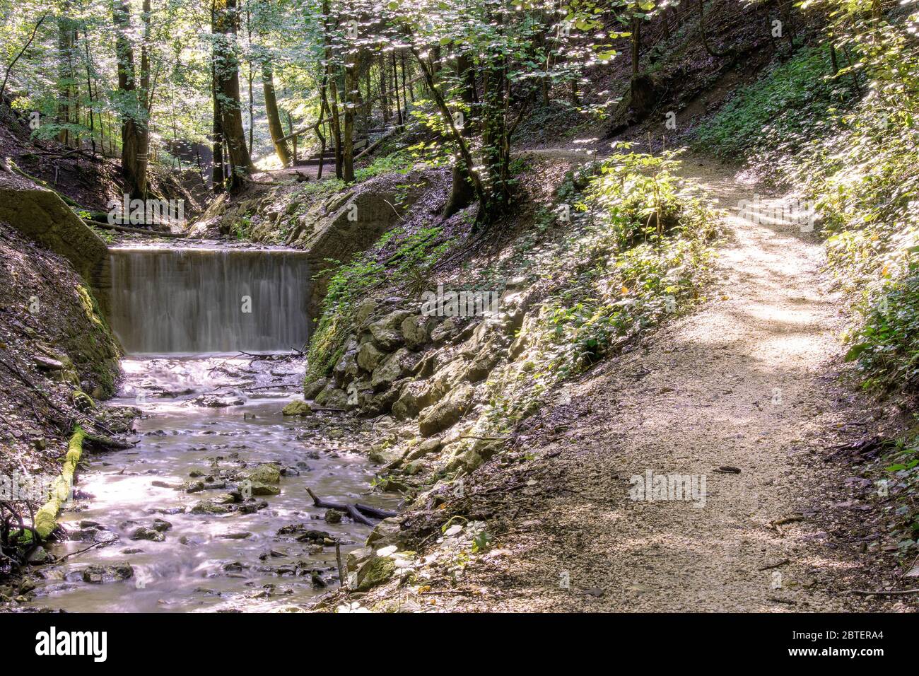Bach im Wald mit Verbauung und Weg in Ainring Richtung Ulrichshögl ...