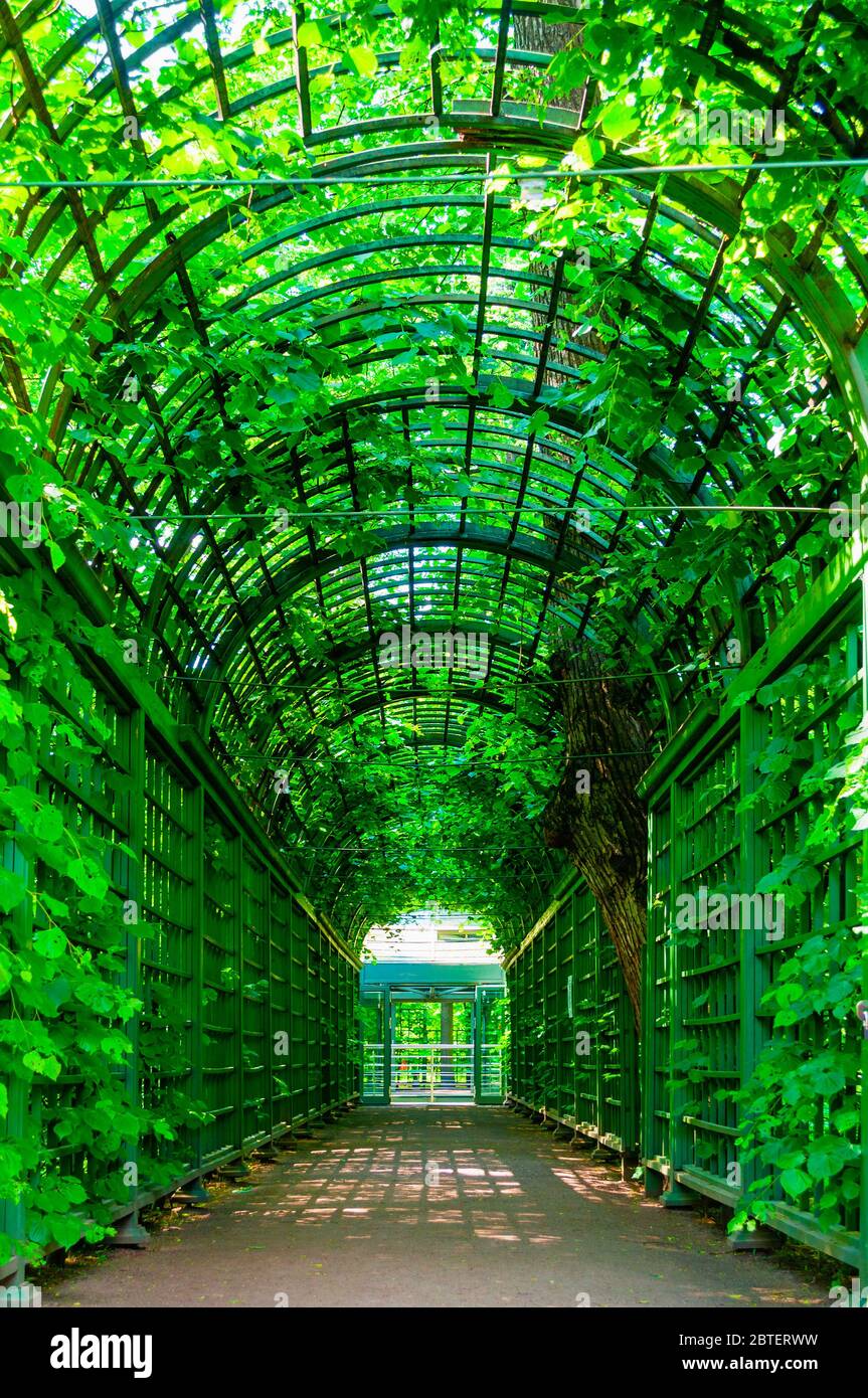 Summer sunny park landscape - summer city park with metal fences of ...