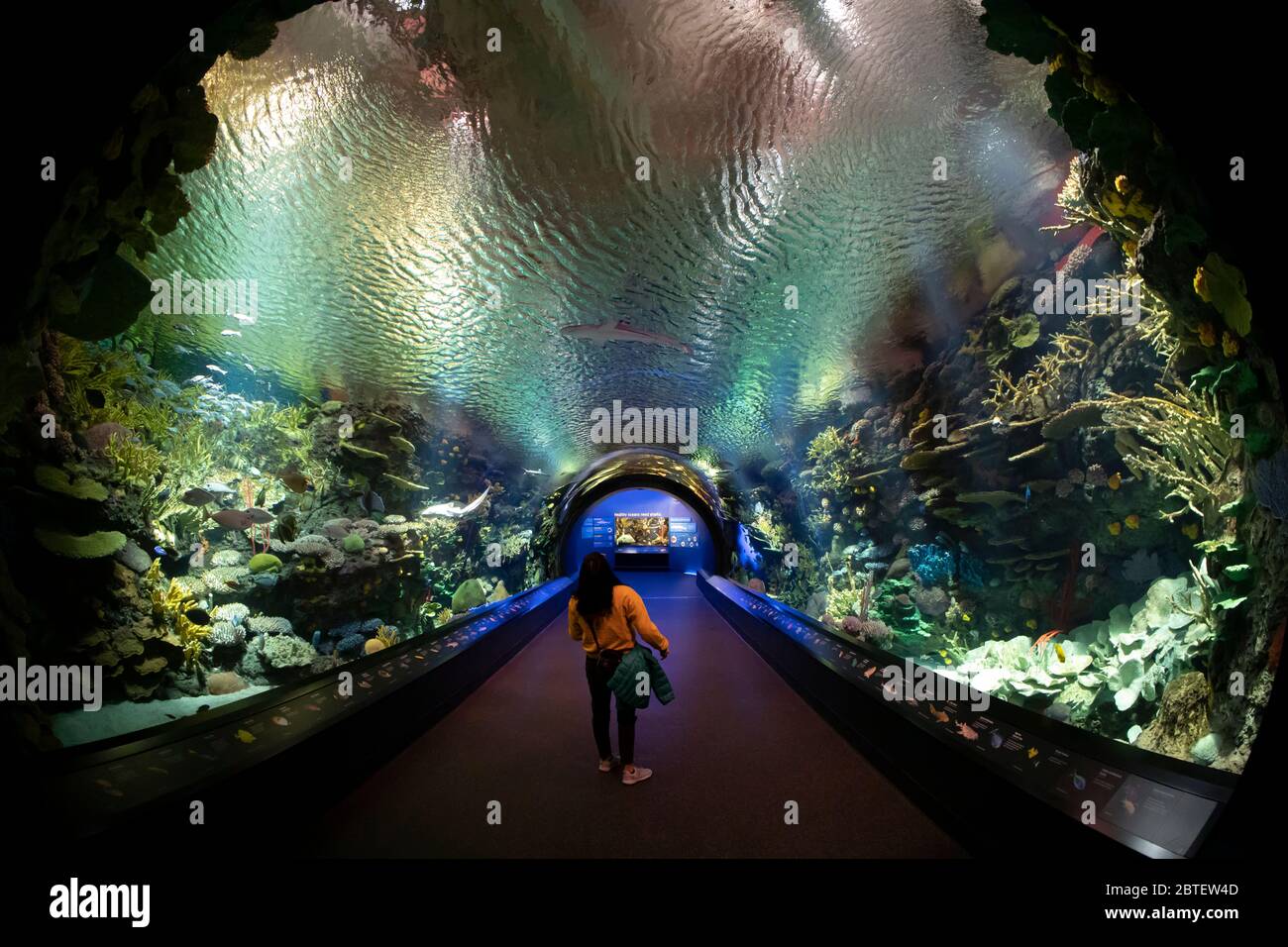 New york coney island museum hi-res stock photography and images - Alamy