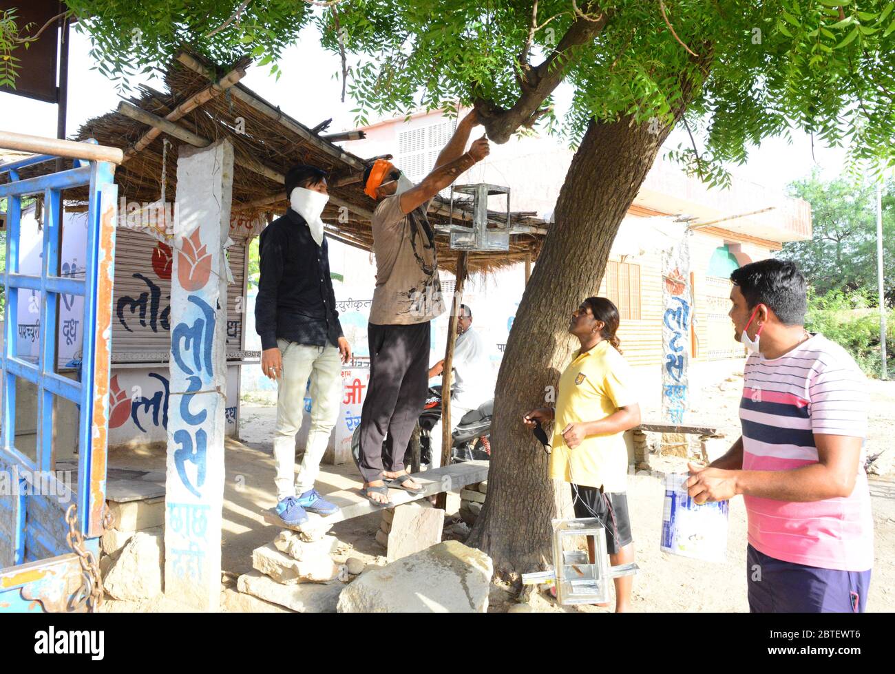 Volunteers of Shri Ram Sena hangs bird feeder on tree as water pots ...
