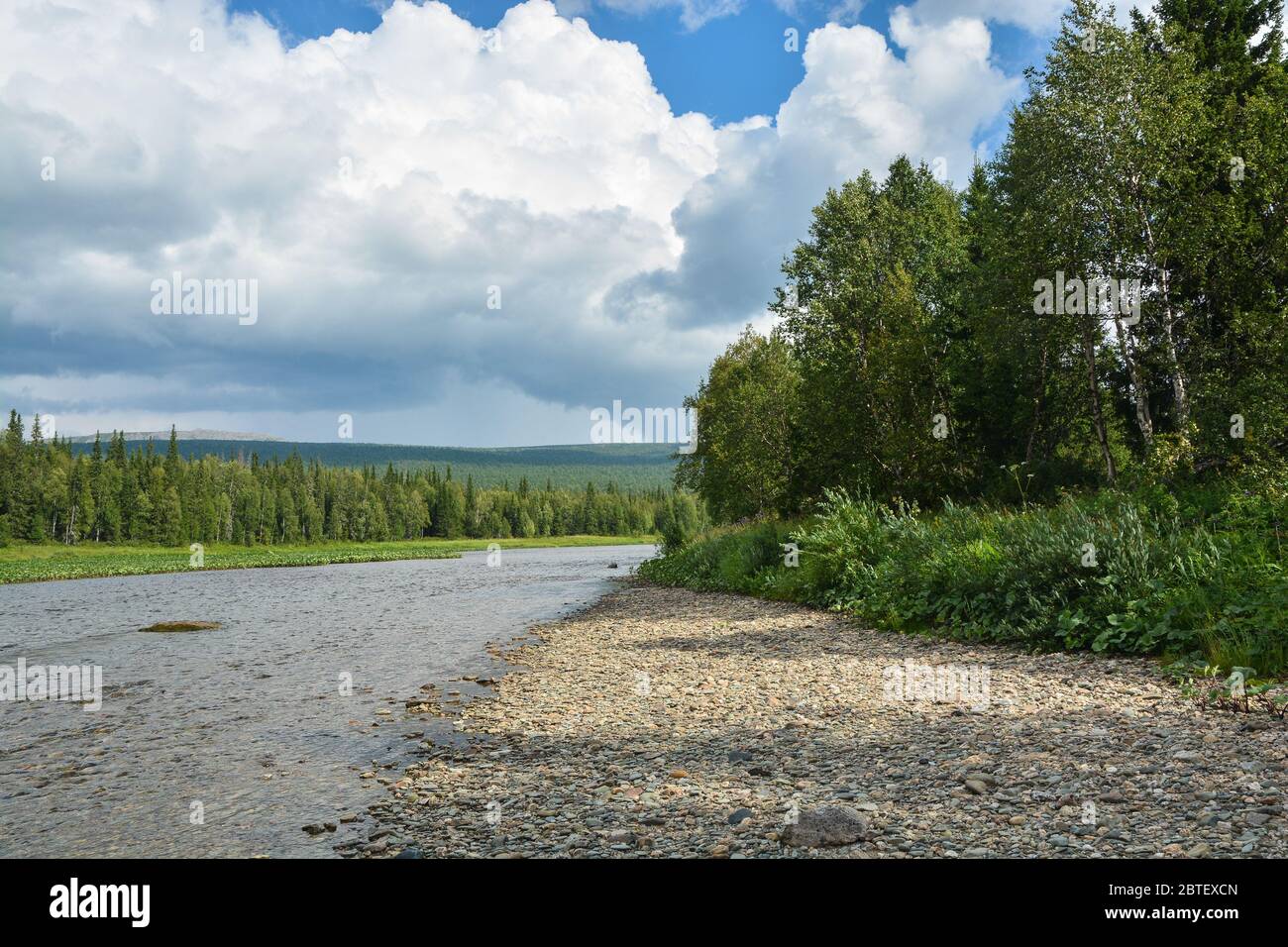 Forest and river. Summer landscape of the Northern taiga river Stock ...