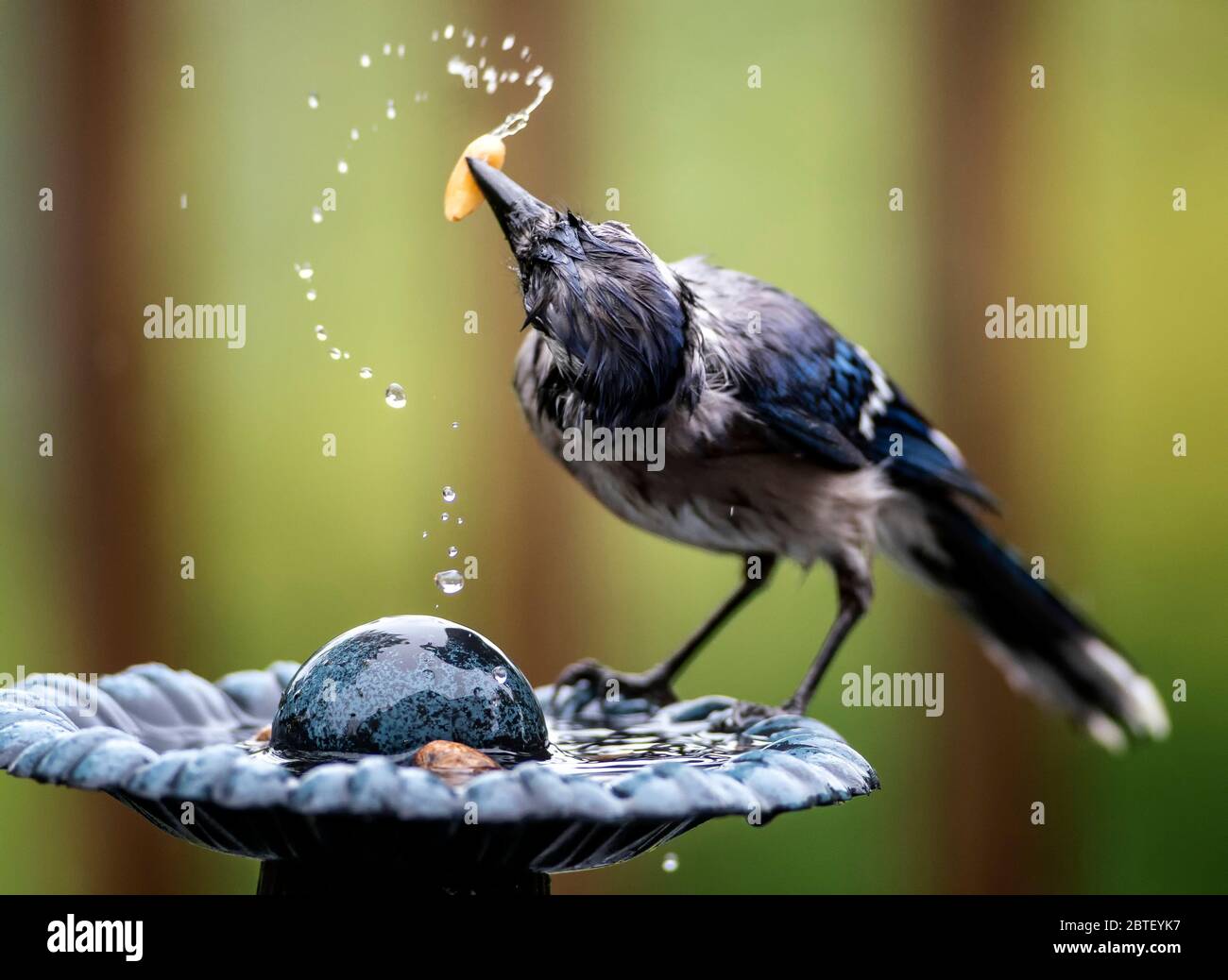 Swish hi-res stock photography and images - Alamy