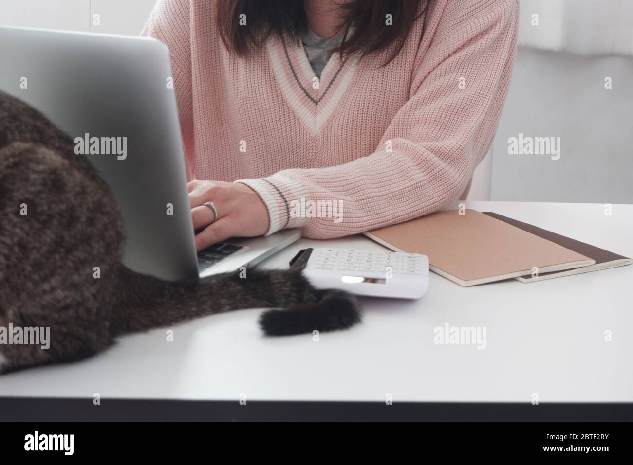 Yong female working from home while in quarantine isolation during the ...