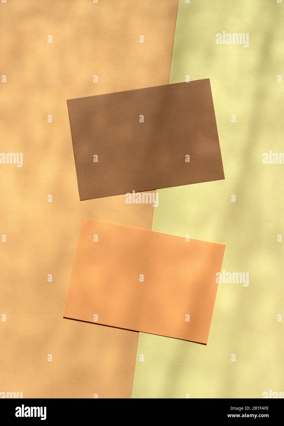 Blank business cards mockup with floral shadows overlays top view flat ...