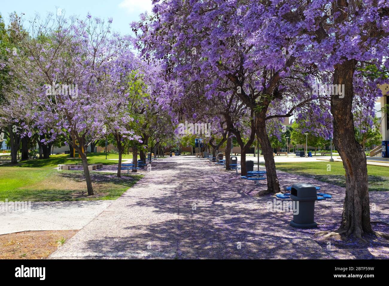 University campus walkway hi-res stock photography and images - Alamy