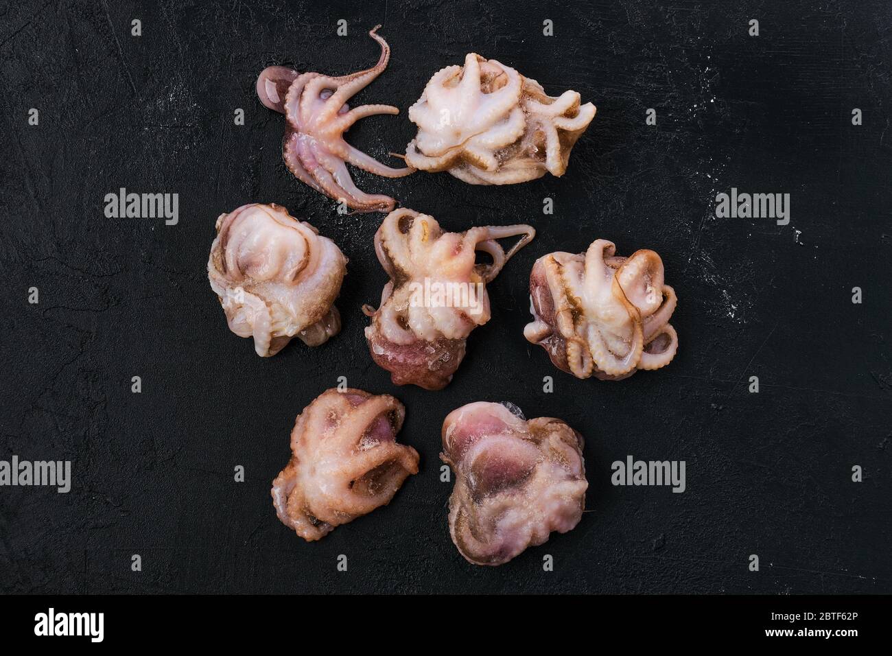 Small frozen octopus on black background Stock Photo - Alamy