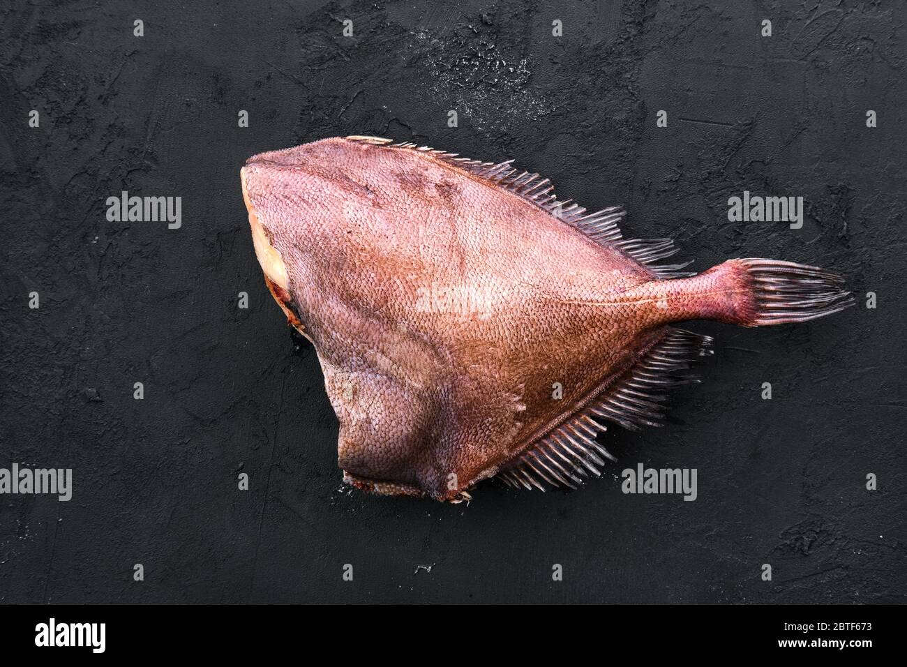 Black bream hi-res stock photography and images - Alamy
