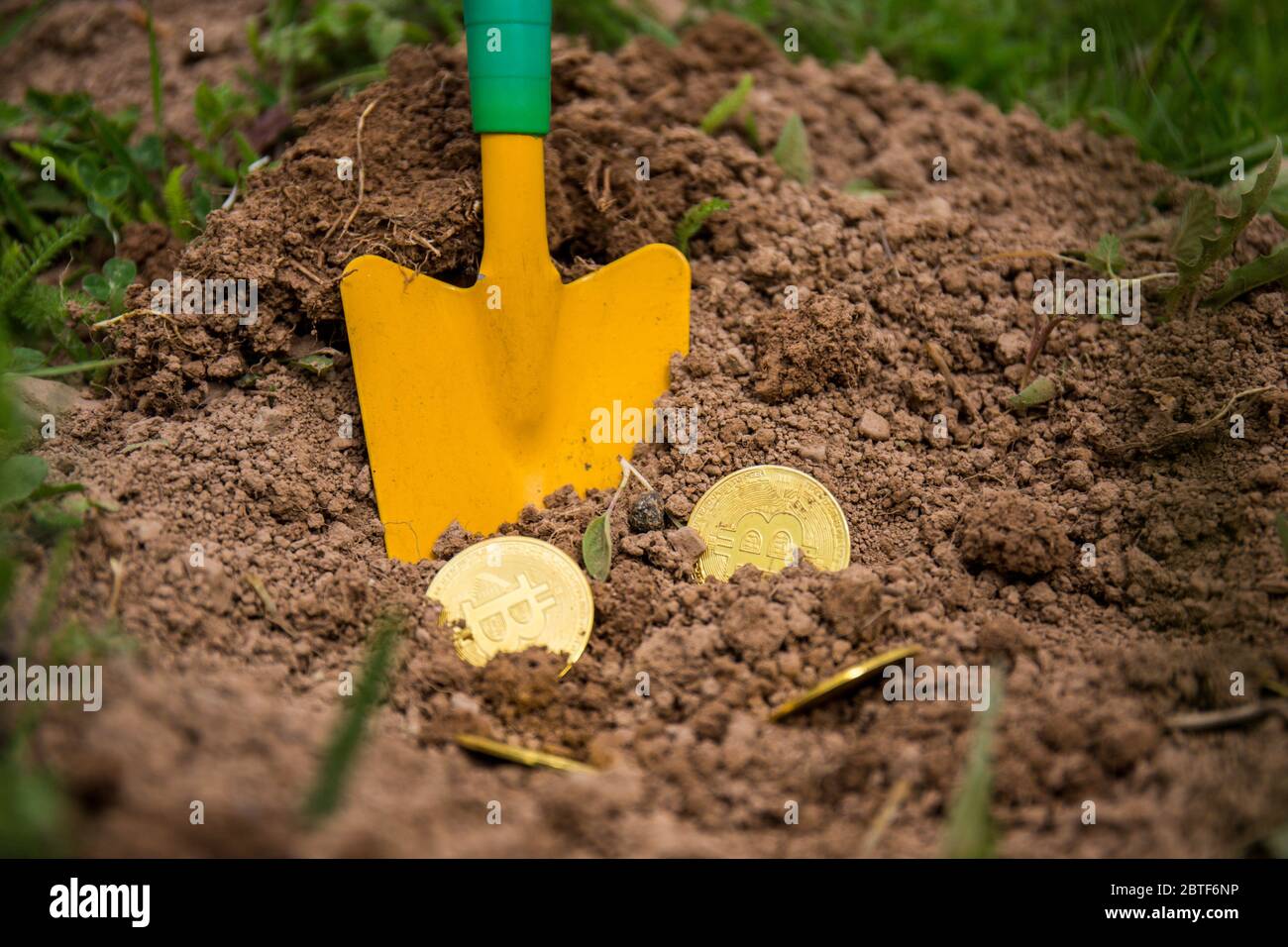 Bitcoin cryptocurrency, the future of business and payments. Rising ...