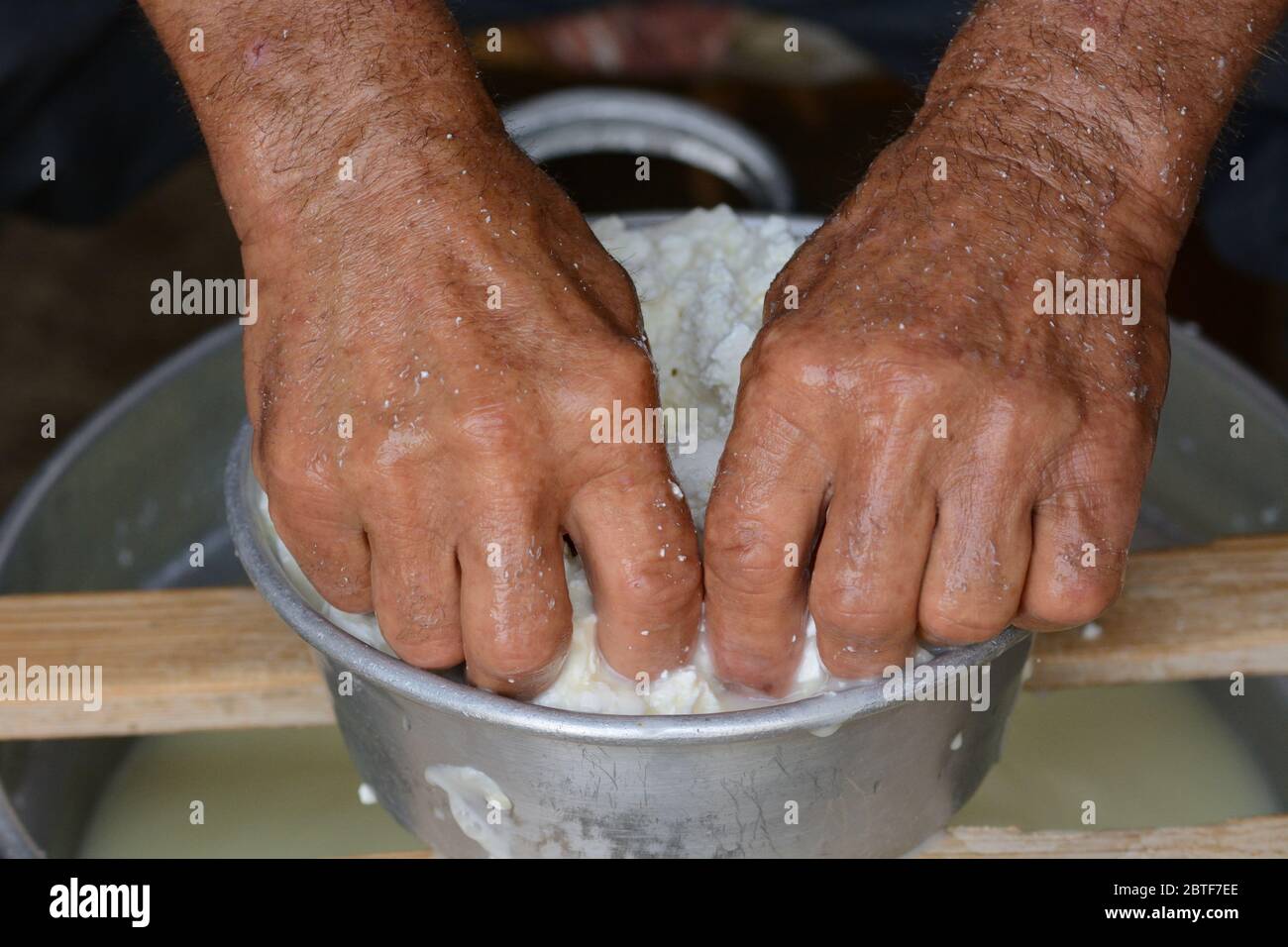 Handmade production of cheese. Typical process of pressing Stock Photo ...
