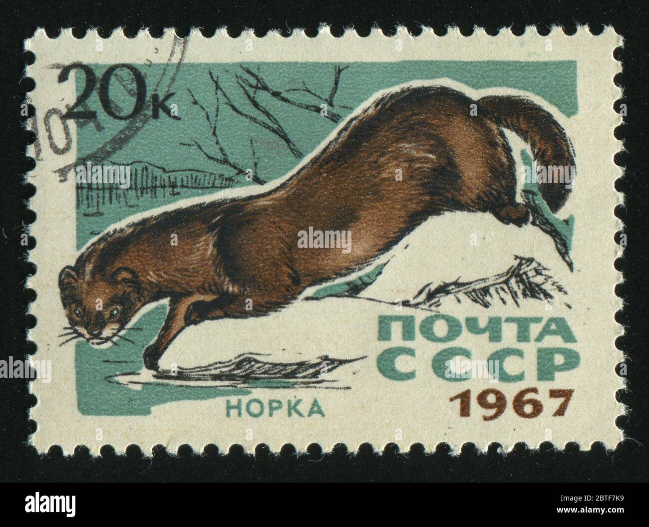 RUSSIA - CIRCA 1967: stamp printed by Russia, shows Mink, circa 1967 ...