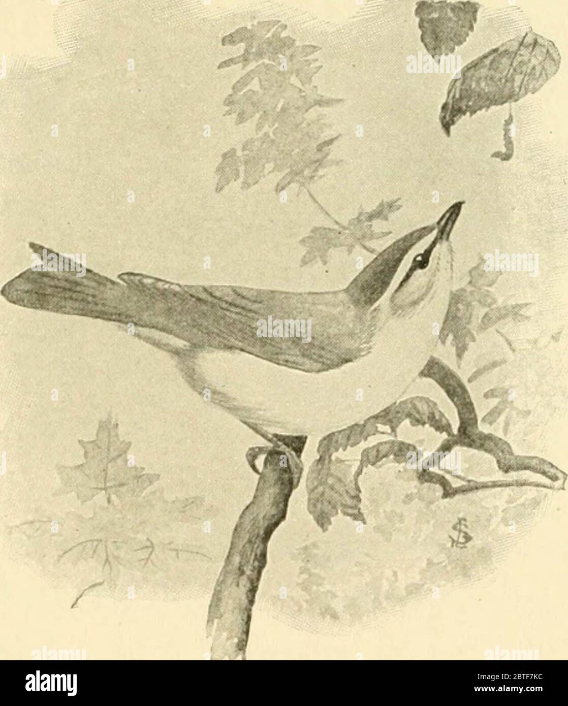 "The American natural history; a foundation of useful knowledge of the ...