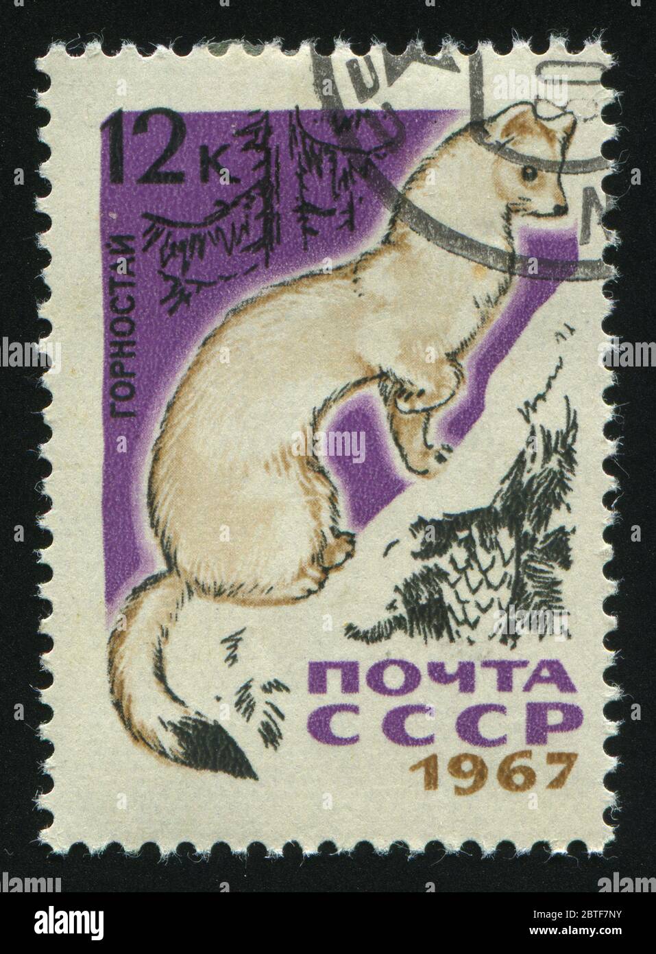 RUSSIA - CIRCA 1967: stamp printed by Russia, shows Ermine, circa 1967 ...