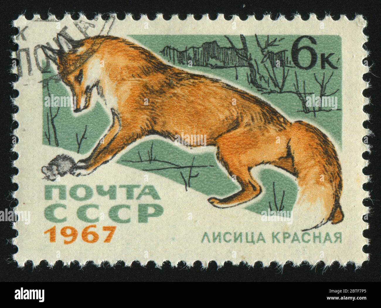 RUSSIA - CIRCA 1967: stamp printed by Russia, shows fox, circa 1967 ...