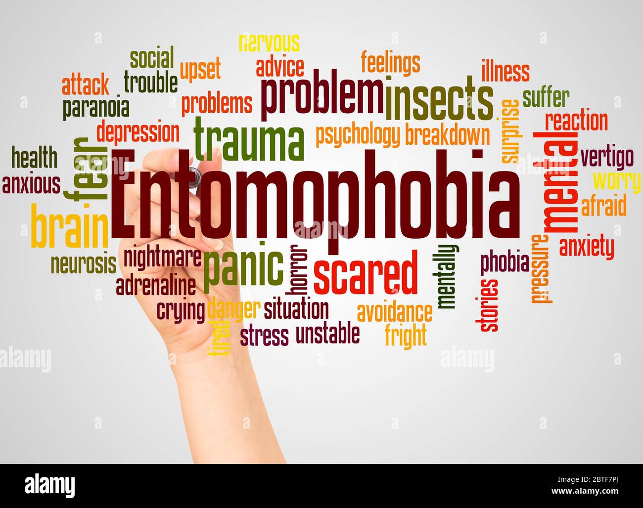 Entomophobia fear of insects word cloud and hand with marker concept on ...