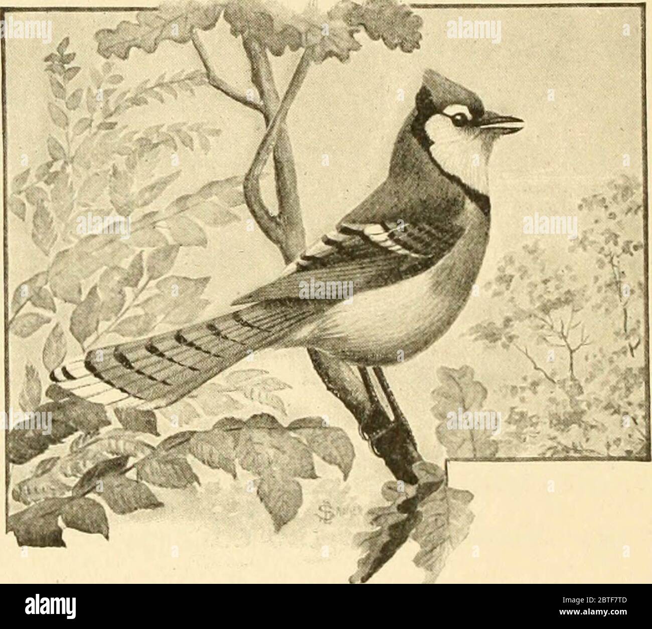 "The American natural history; a foundation of useful knowledge of the ...