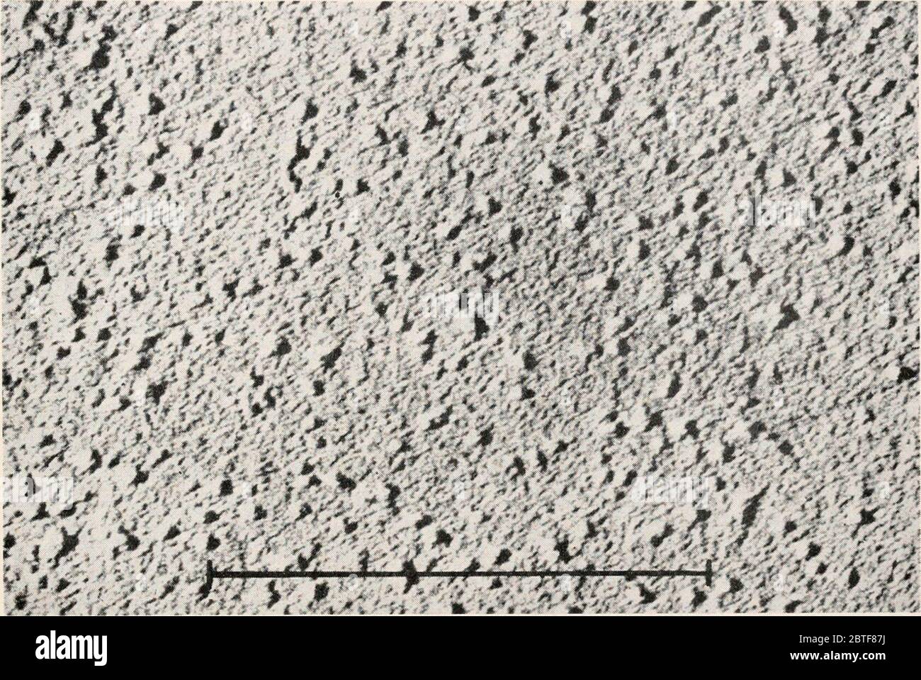 "The Biological bulletin Stock Photo - Alamy