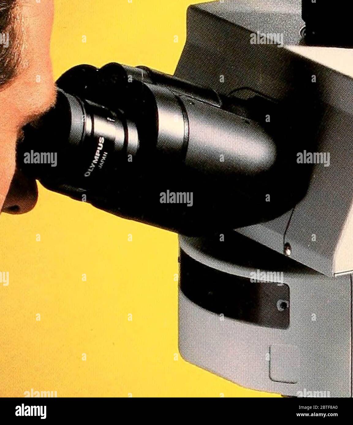 "The Biological bulletin Stock Photo - Alamy