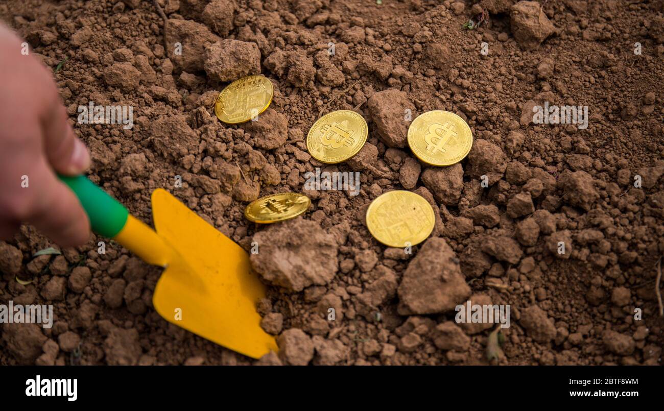 Bitcoin cryptocurrency, the future of business and payments. Rising ...