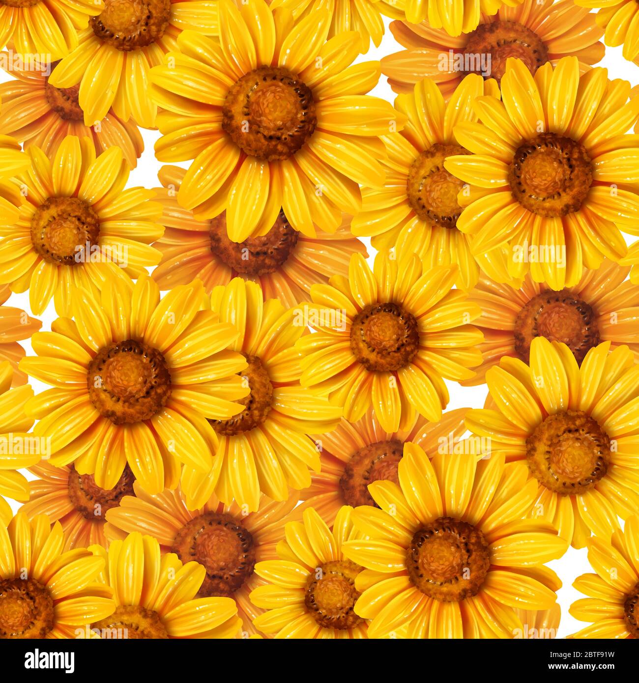 Sunflower seamless pattern Stock Photo - Alamy