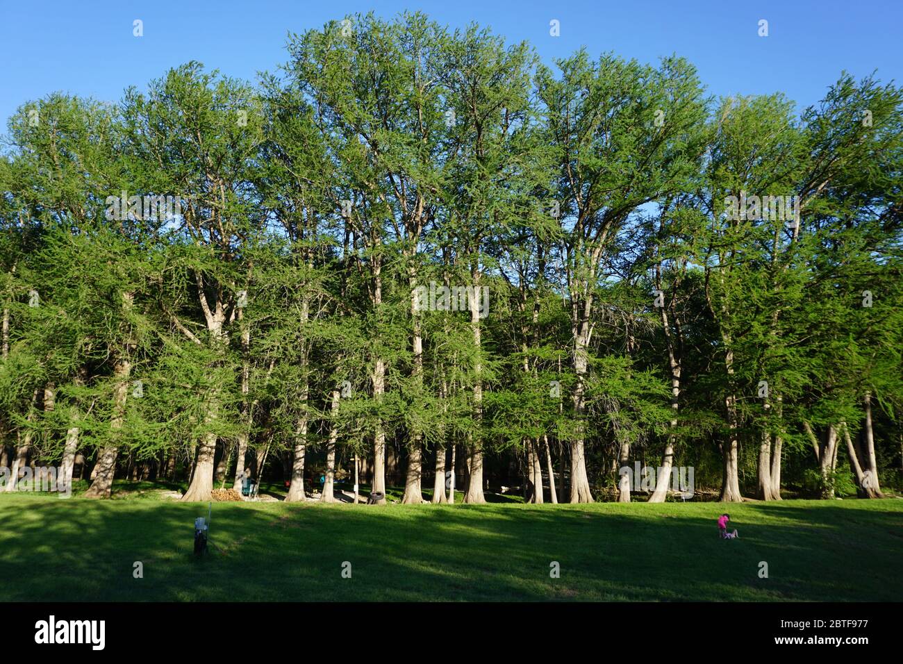 Leakey texas hi-res stock photography and images - Alamy