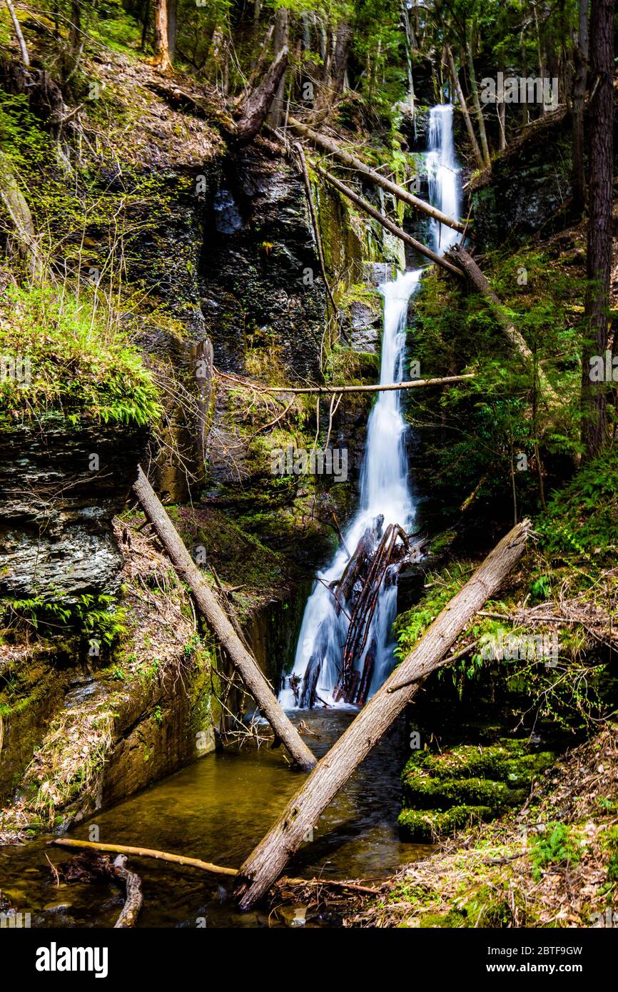 Scenic Silverthread falls of Dingmans ferry in spring time Stock Photo ...