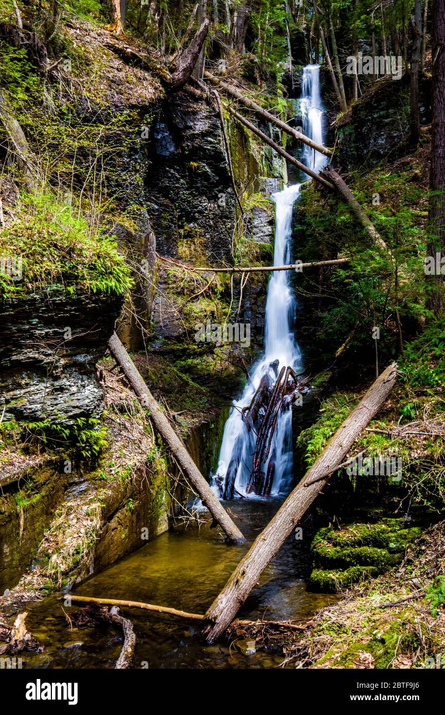 Scenic Silverthread falls of Dingmans ferry in spring time Stock Photo ...