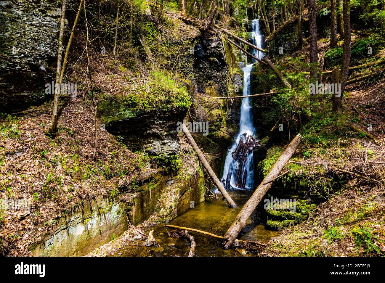 Scenic Silverthread falls of Dingmans ferry in spring time Stock Photo ...