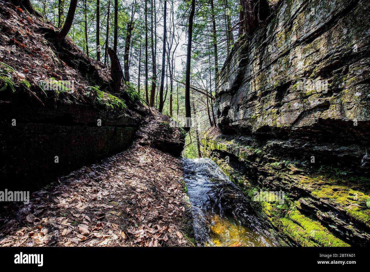 Scenic Silverthread falls of Dingmans ferry in spring time Stock Photo ...