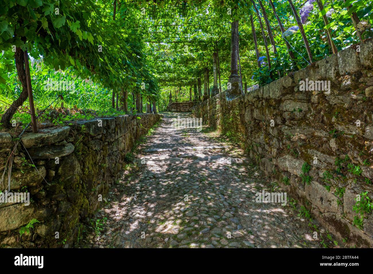 Shaded pathway hi-res stock photography and images - Alamy