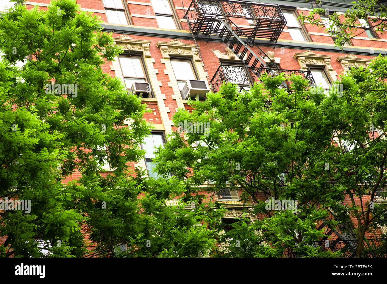 Typical New York City brick apartment building in spring surrounded by ...