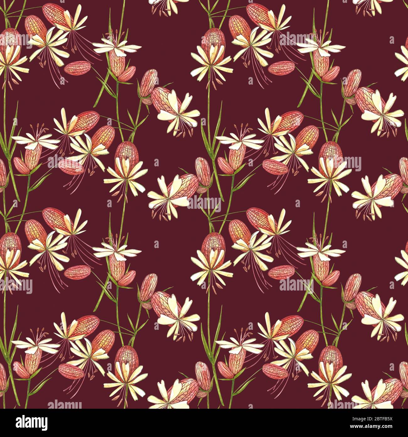 Bladder campion flowers. Watercolor set of drawing cornflowers, floral ...