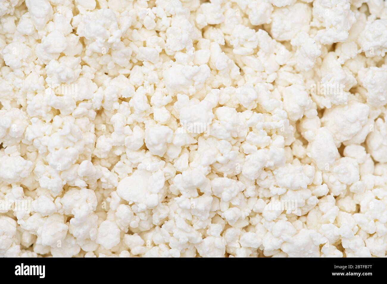 Cottage cheese texture hi-res stock photography and images - Alamy
