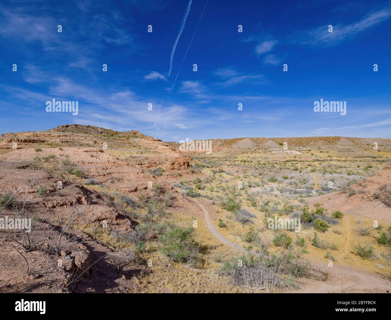 Beautiful along the famous White Owl Canyon trail at Lake Mead, Nevada ...