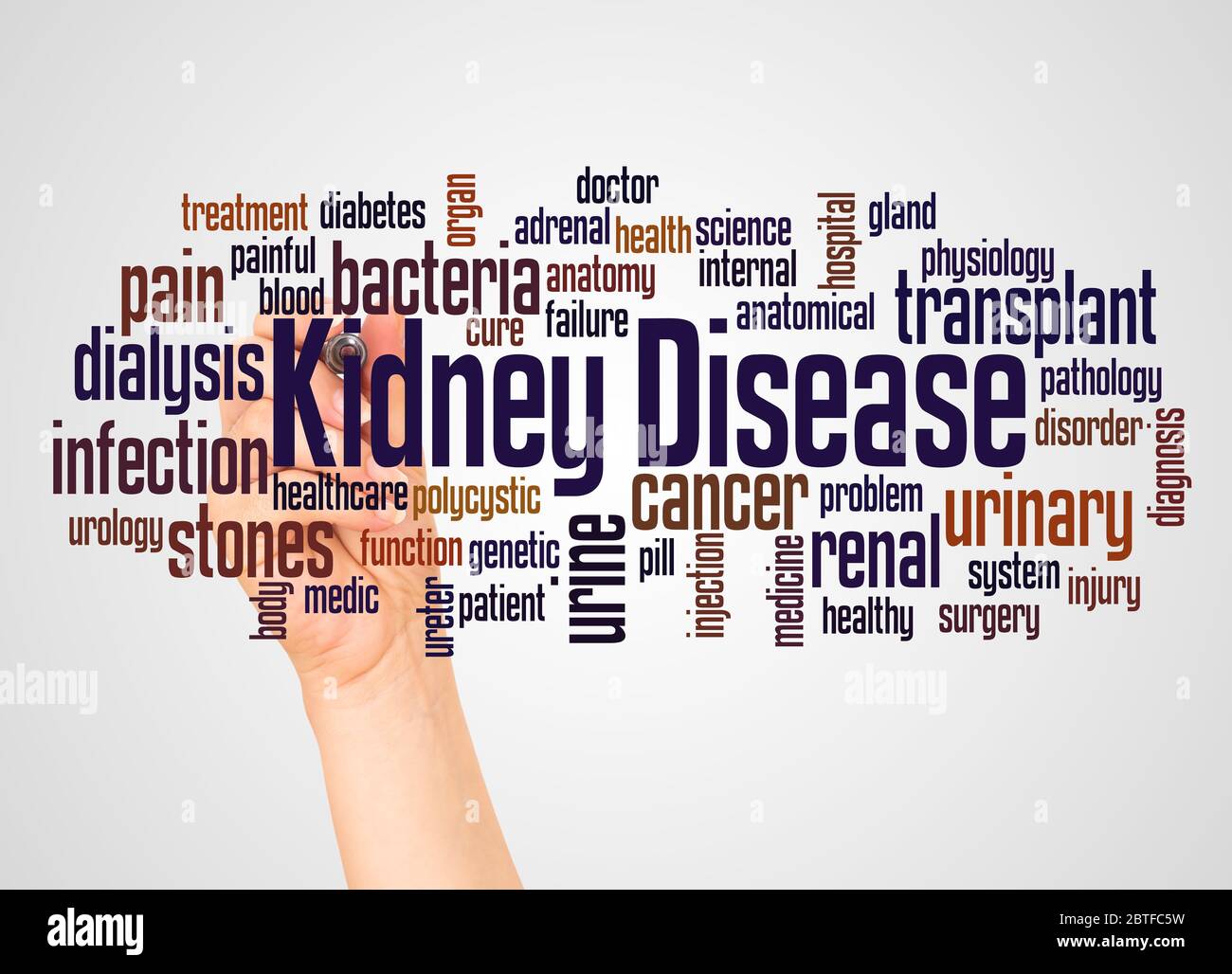 Kidney Disease word cloud and hand with marker concept on white ...